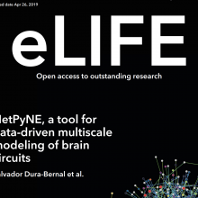 Welcome to Neurosim lab | Neurosim lab